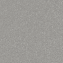 ColorGuard Gray