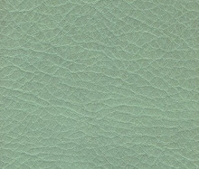 Allegro Sage Green
