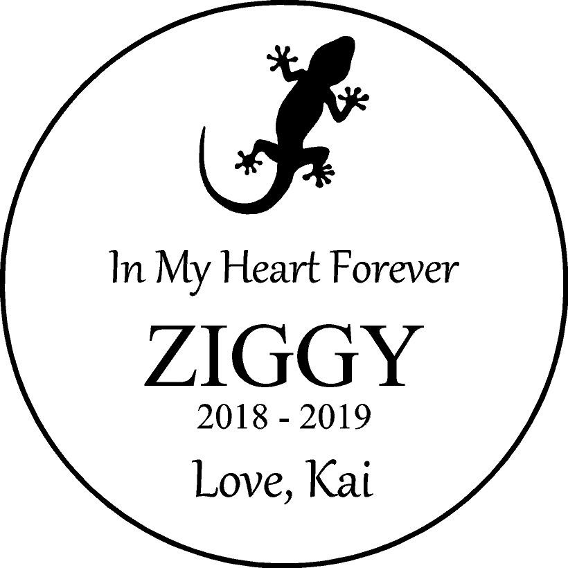 Personalized Engraved Pet Memorial Stone 11"Diameter ZIGGY_Custom ...