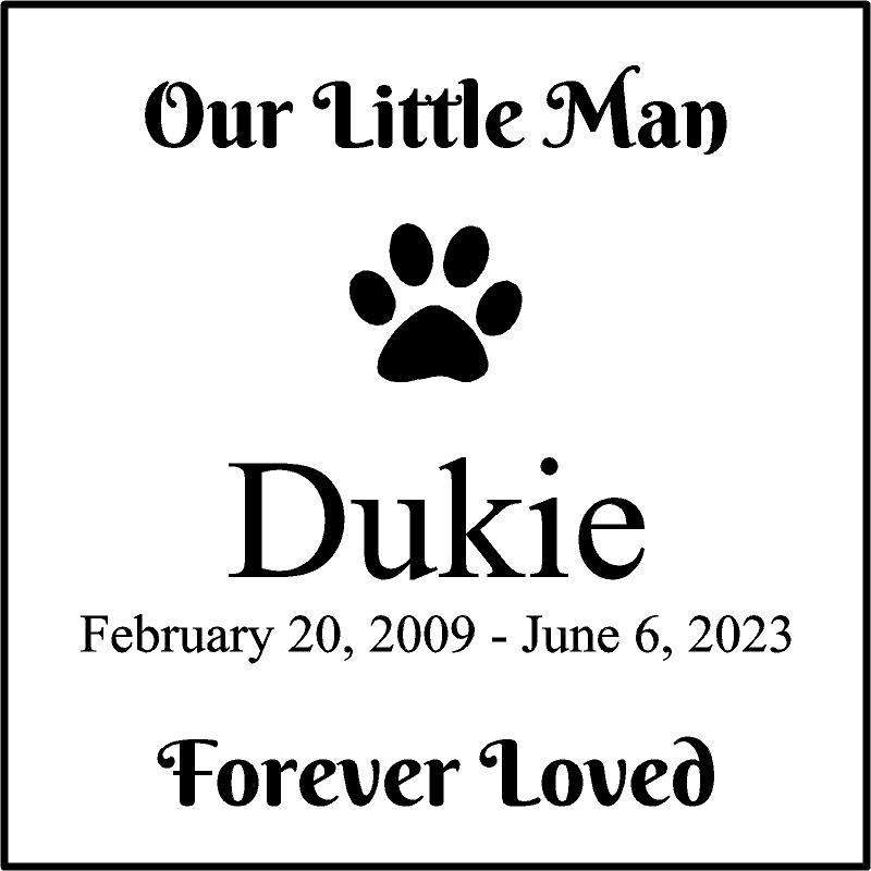 Memories Step Stone 11.5"x11.5 Dukie_custom - Memories to Stone