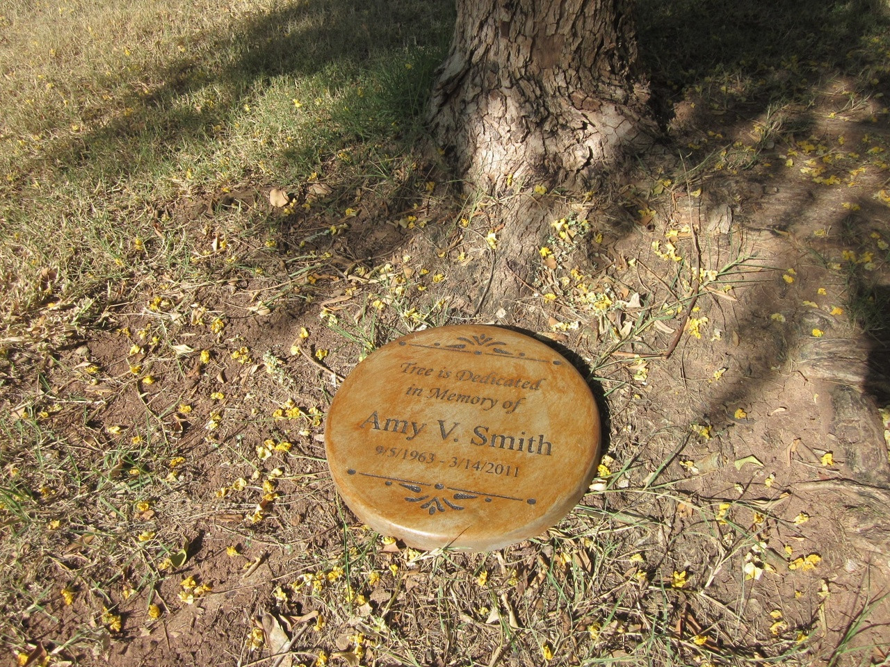 Personalized Engraved Memorial Garden Stone 11' Diameter 'Tree is ...