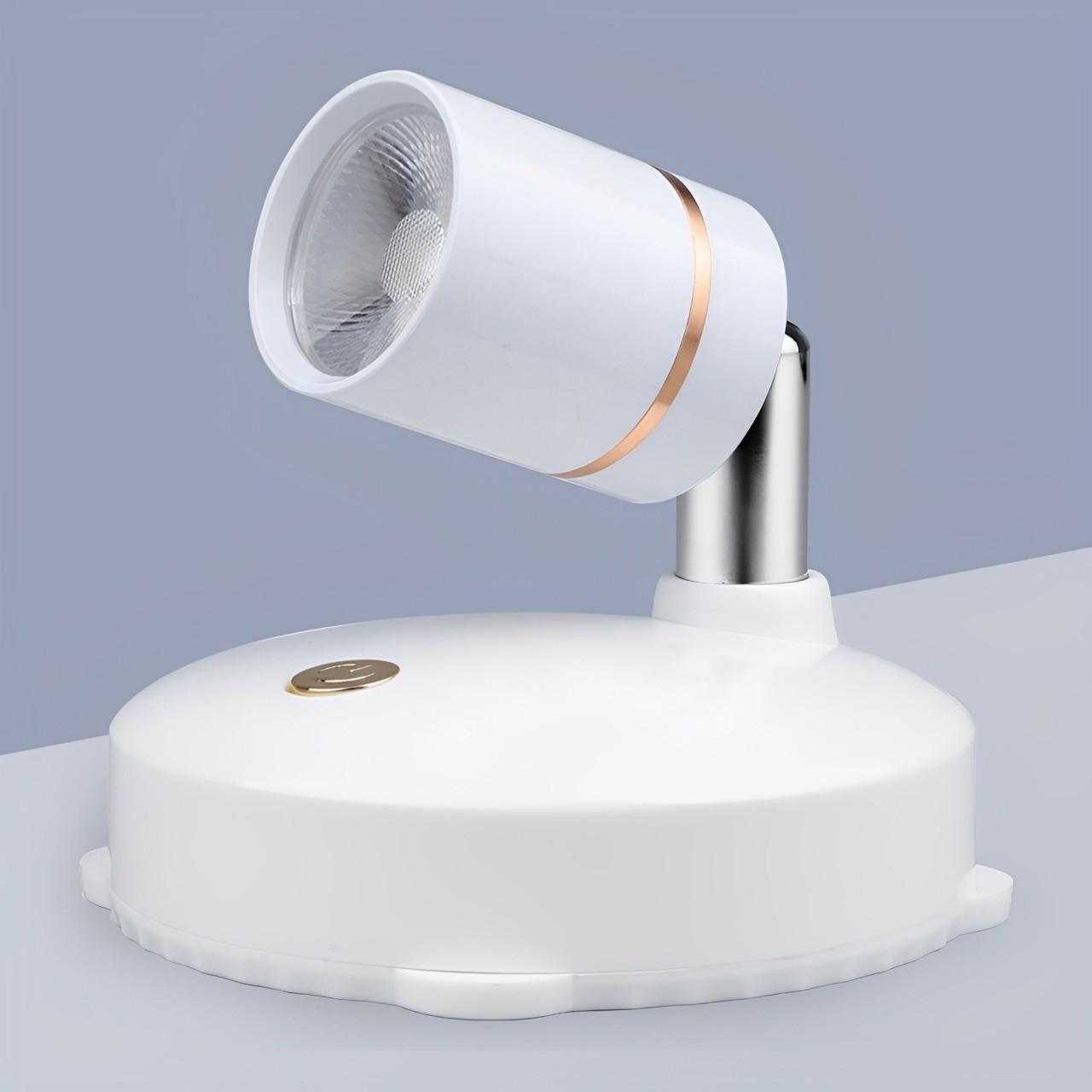 Indoor Directional LED Spotlight