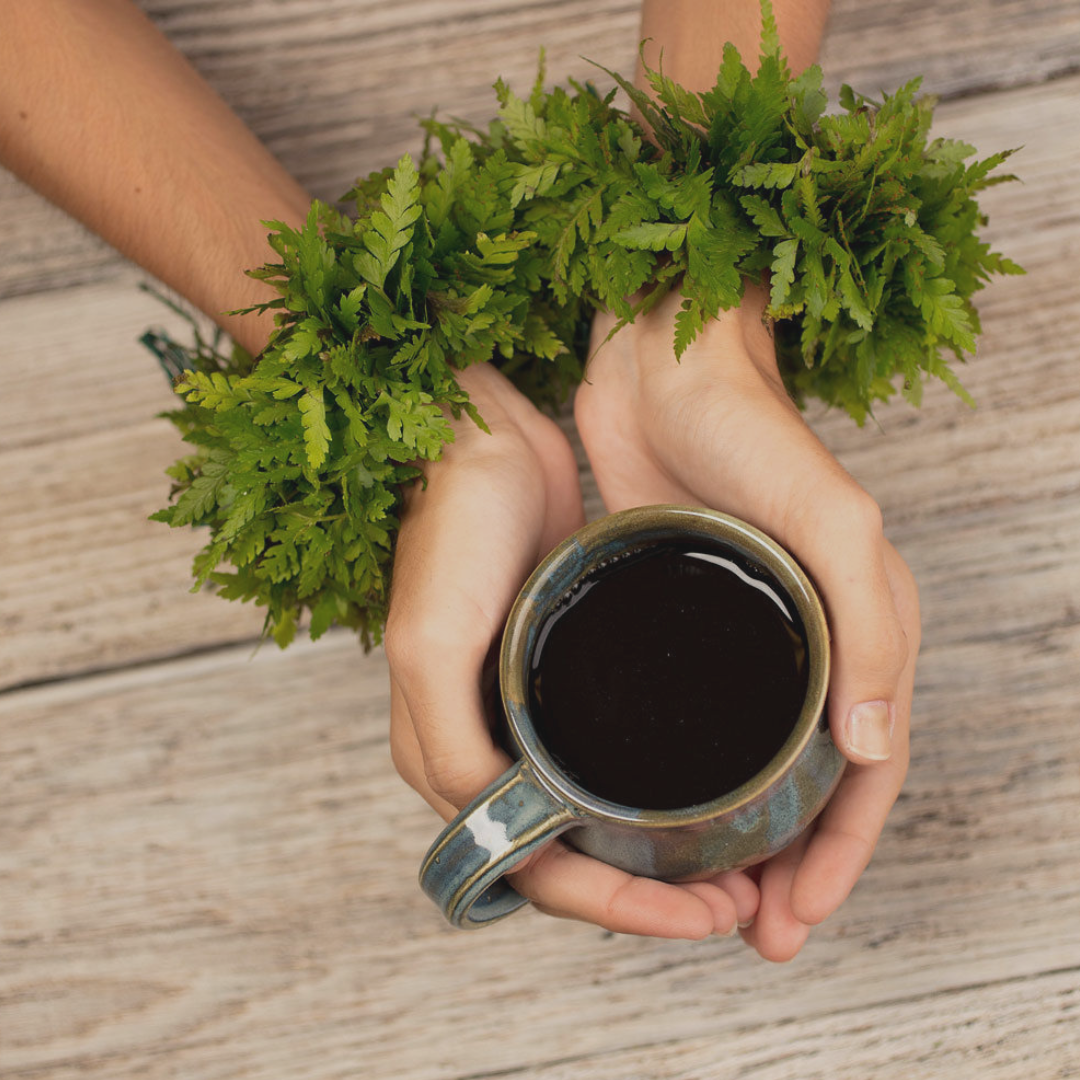 Hala Tree Coffee - 100% Kona Coffee and Coffee Farm Tours