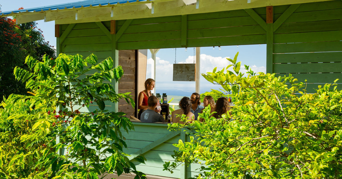 Top 5 Reasons to Visit Hala Tree 100% Kona Coffee Farm: Your Gateway to ...