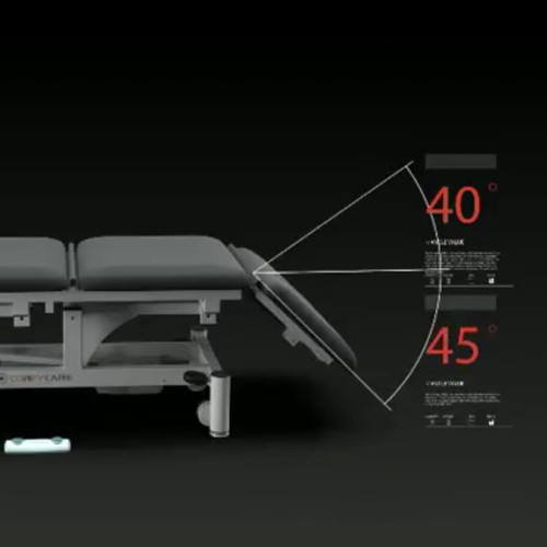 3 Section HiLo Electric Couch