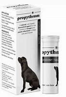 Propythium Effervescent Tablets 3G - SFRAW