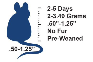Mice - Medium Large Pinkies, by the each (whole prey) - SFRAW