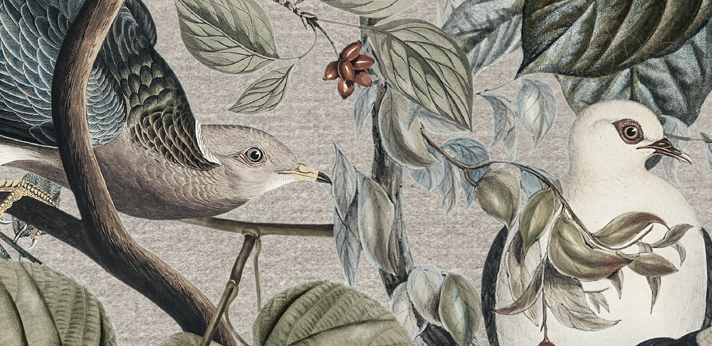 Vintage Style Neutral Grey Dove Birds on Branches Wallpaper Mural