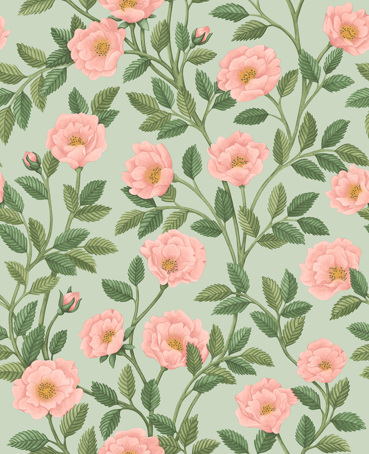 Charming Floral Rose Print Green Duck Egg Blue Wallpaper | Cole and Son ...