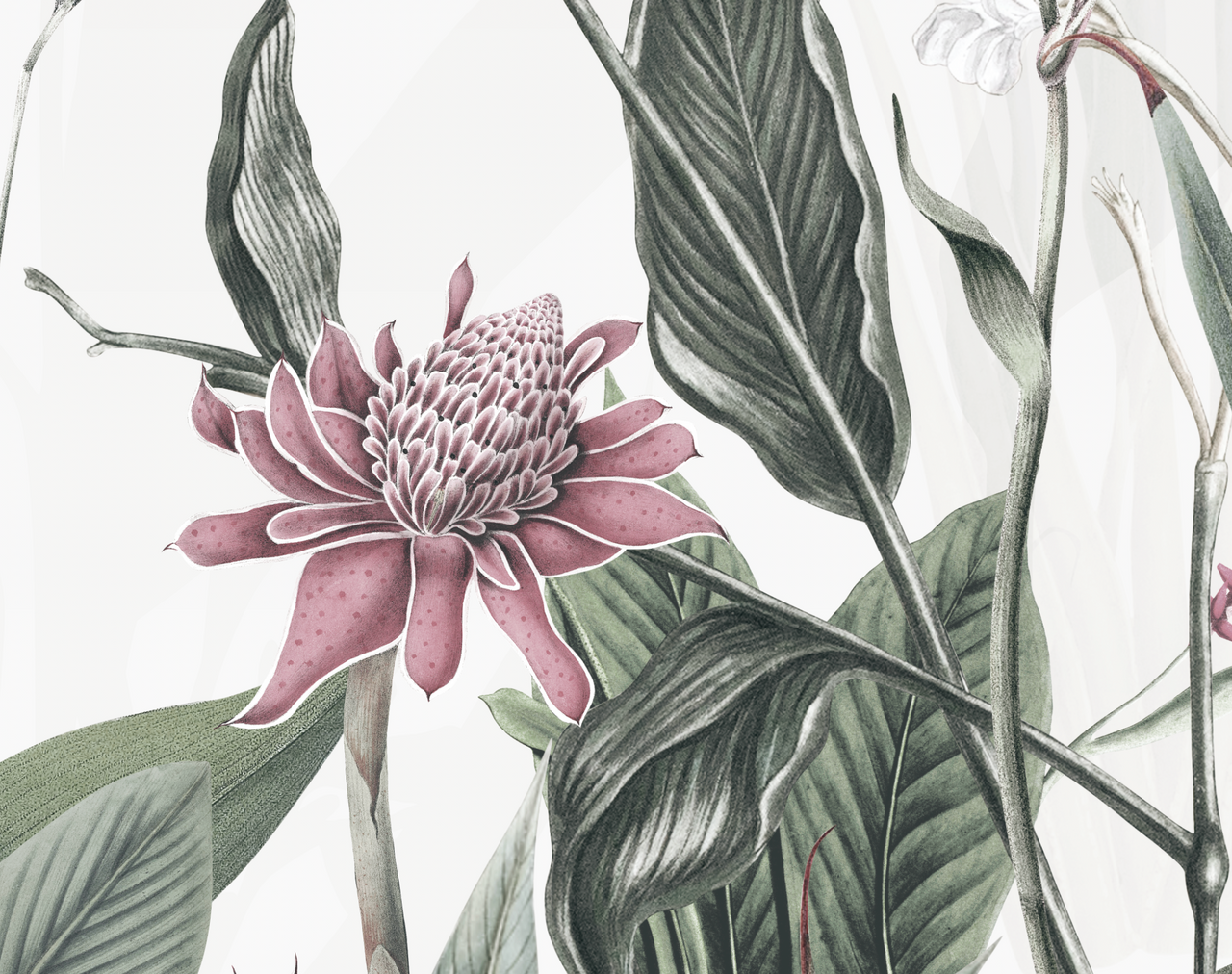 Muted Tropical Plants and Wild Flowers Wallpaper Mural