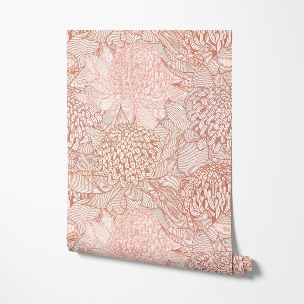 Australian Waratah Flowerhead Coral Pink Grey Wallpaper | Patricia ...