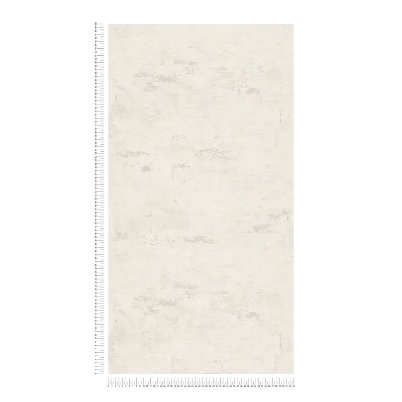 Textured Plaster Cement Effect Grey Cream Wallpaper | AS Creation