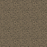 Majestic Leopard Print Brown Tan Wallpaper | Timothy Wilman Home Chesterton