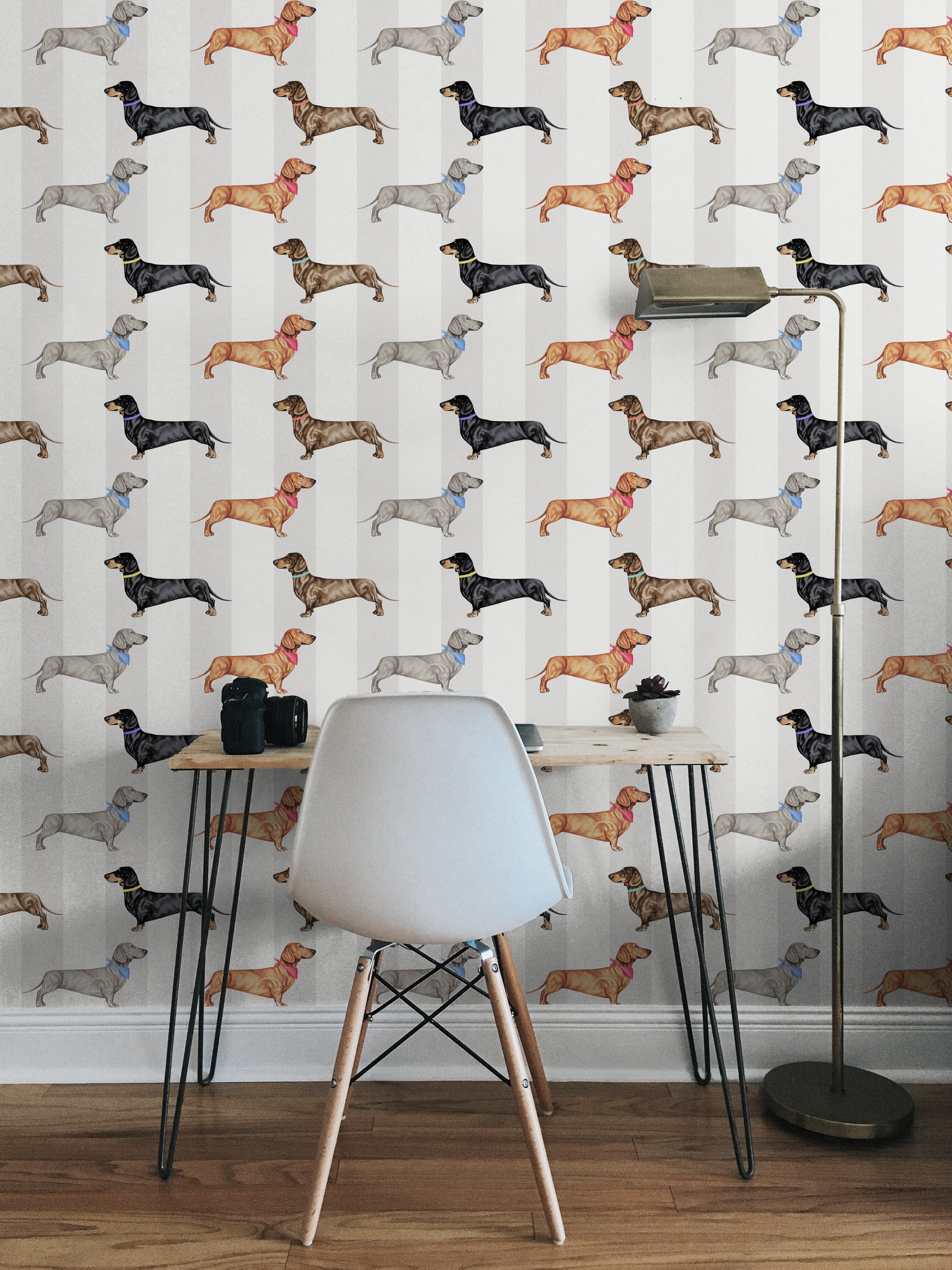 Hand Painted Dogs Natural Wallpaper | Graduate Collection Dachshund