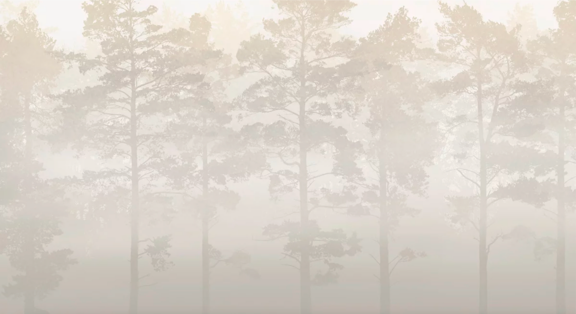 Misty Pine Forest Trees Natural Beige Wallpaper Mural