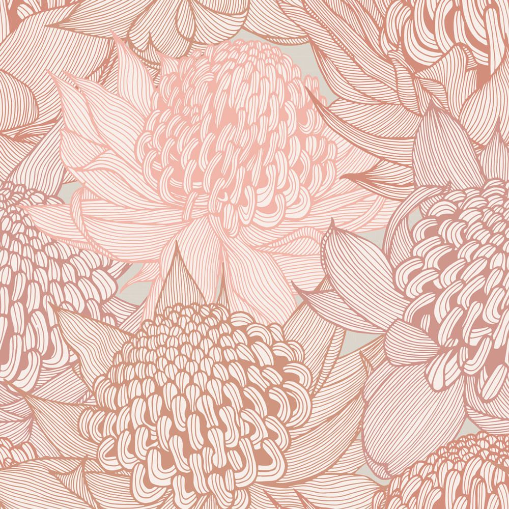 Australian Waratah Flowerhead Coral Pink Grey Wallpaper | Patricia ...