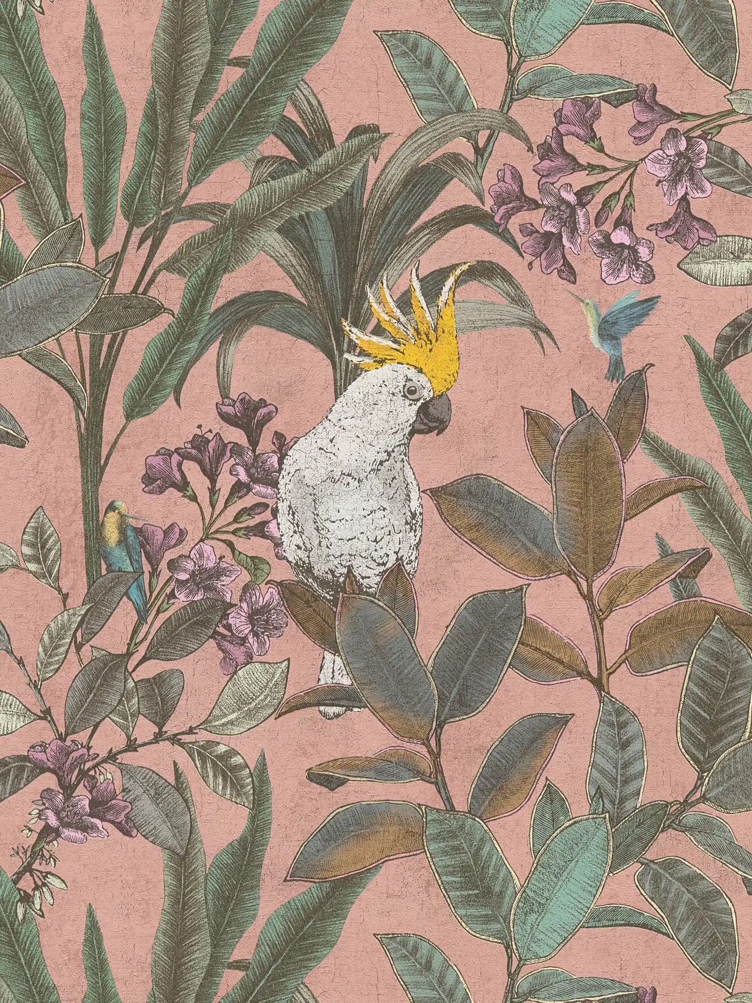 Australian Cockatoos Pink Multicolour Wallpaper | AS Creation Cacatua