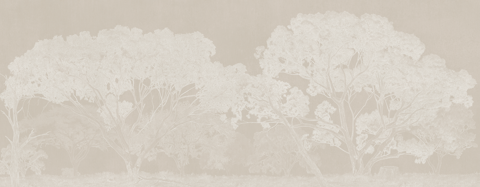 Stone Beige Australian Bush Eucalyptus & Acacia Trees Wallpaper Mural
