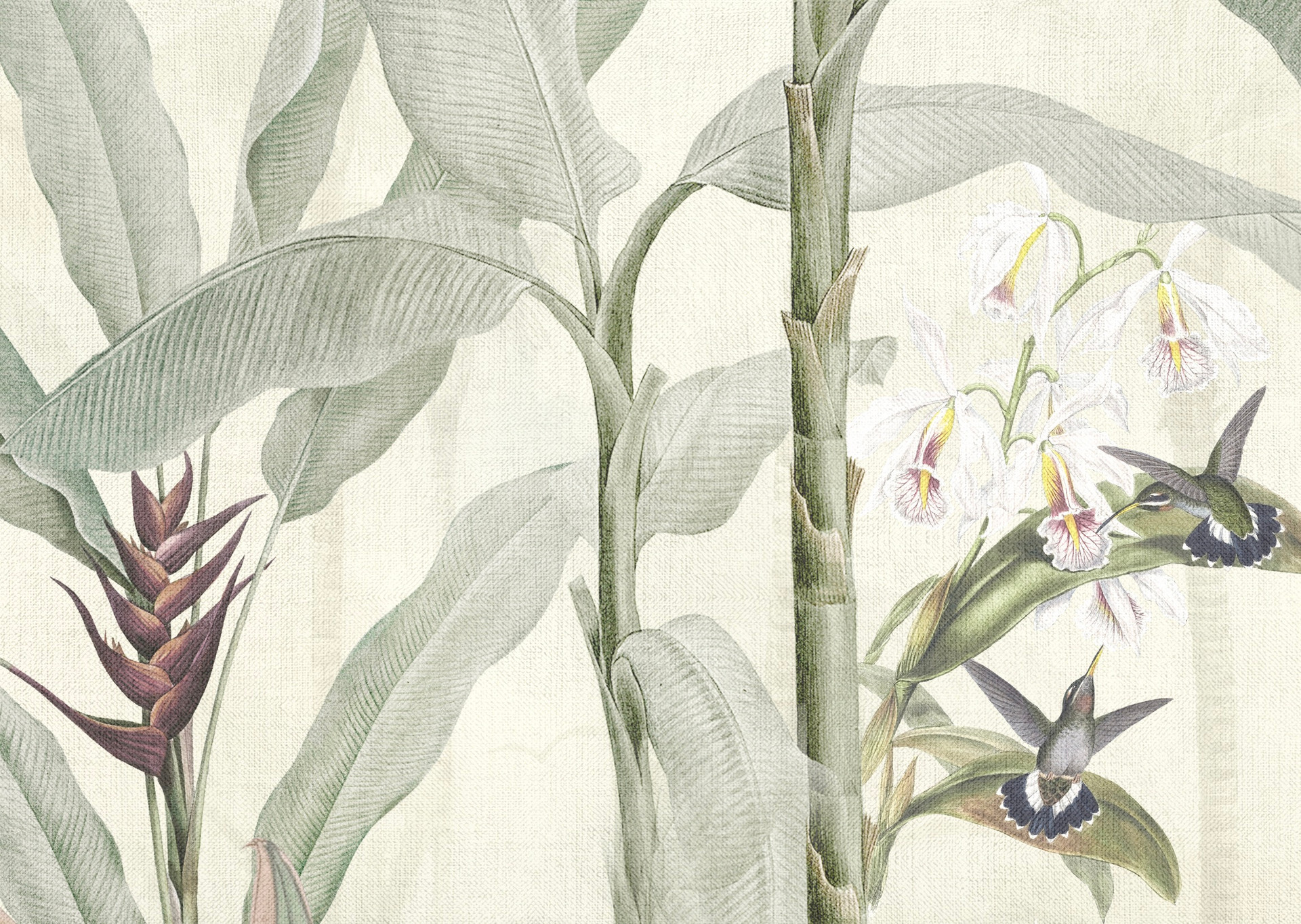 Mural - Borneo Faded Green (Per Sqm) - Natty and Polly Wallpaper Australia