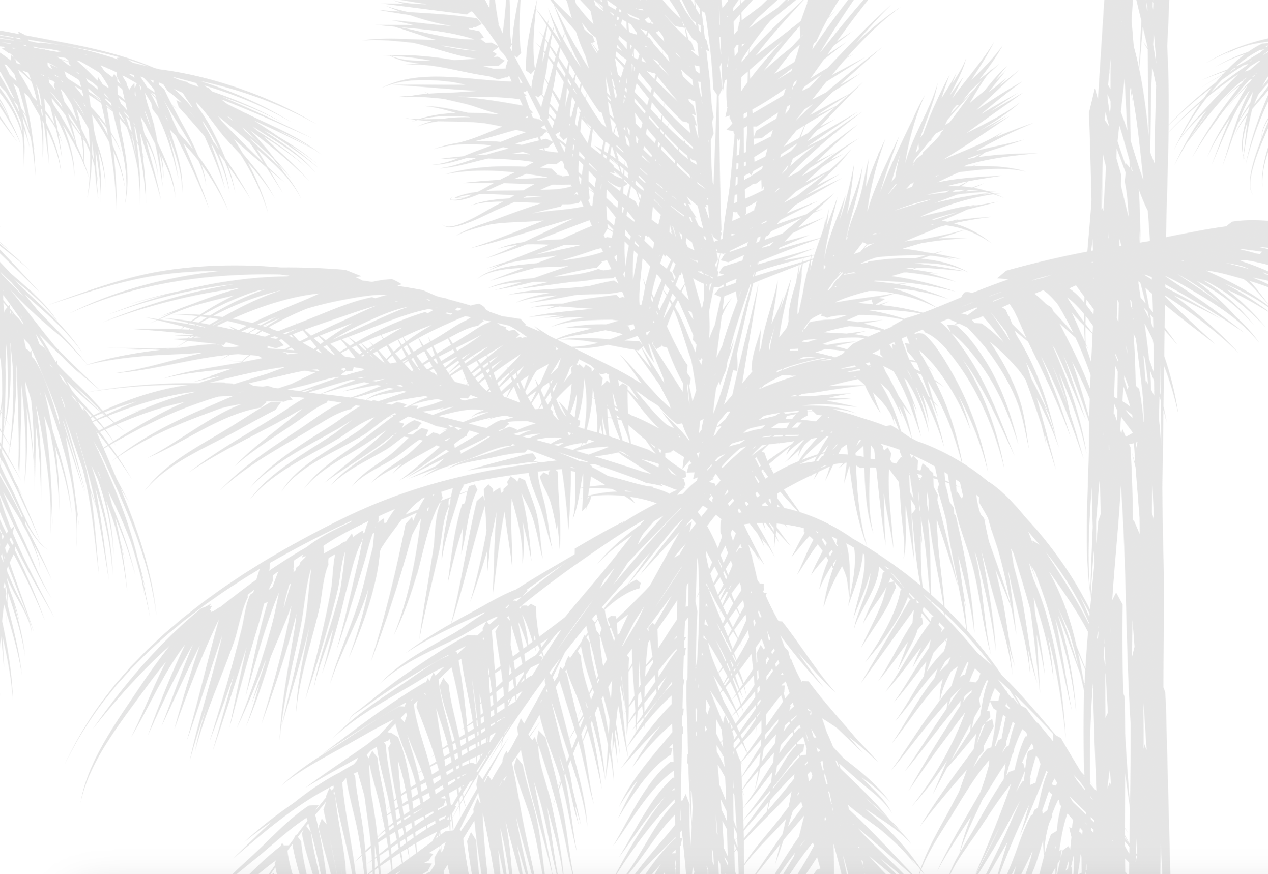 Simple Two Tone Palm Tree Grey and White Wallpaper Mural