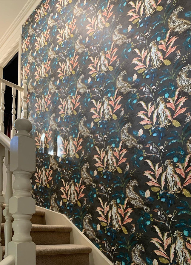Jungle Forest Cats Dark Grey Wallpaper | Graduate Collection Cheetah