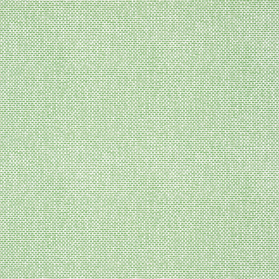 Plain Textured Effect Green Wallpaper | Thibaut Palawan