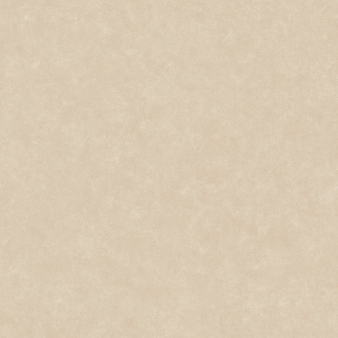 Stone Wash Plain Textured Natural Beige Vinyl Wallpaper | Caselio Uni Mat