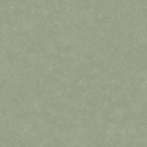 Stone Wash Plain Textured Sage Green Vinyl Wallpaper | Caselio Uni Mat
