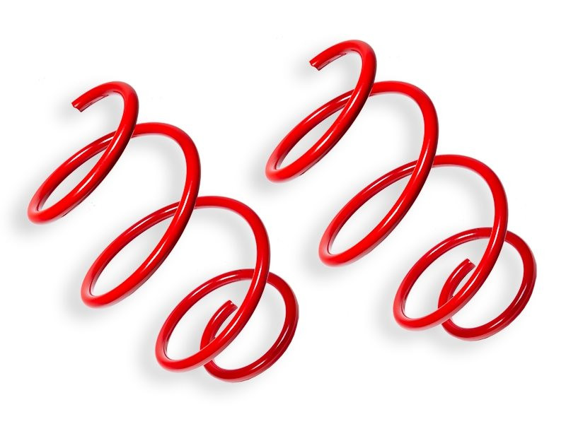 RST PX1 Lowering Springs