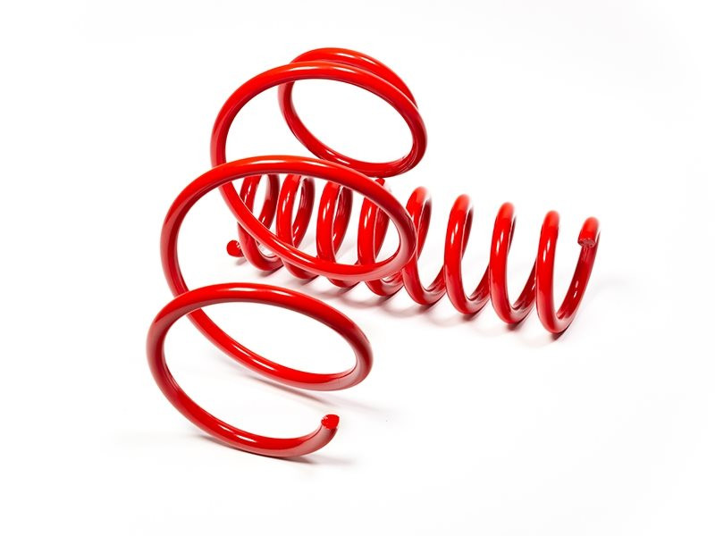 RST PX1 Lowering Springs