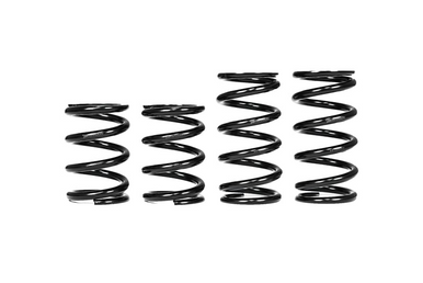 Paragon 1" Lowering Springs