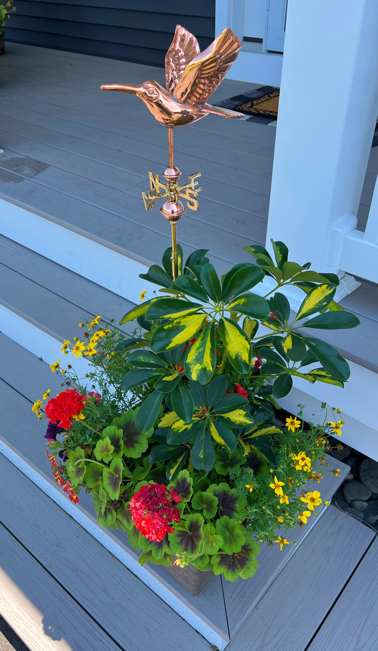 Hummingbird Mini Weathervane Kit - Weathervanes of Maine