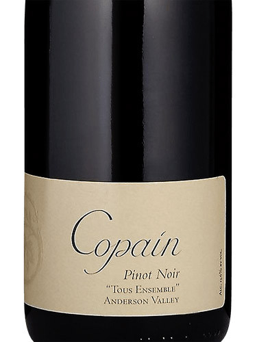 Copain Pinot Noir Sonoma Coast 2020 - Woodland Hills Wine Company