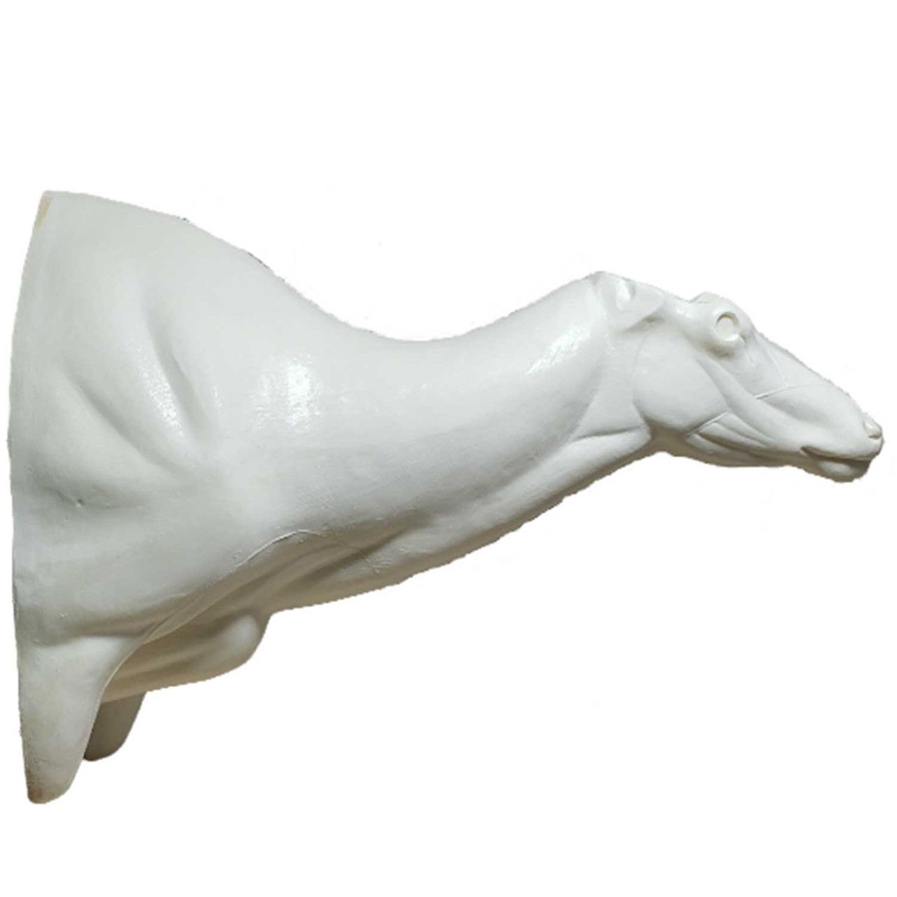 Elk Straight Droop - Ferguson Taxidermy Supply