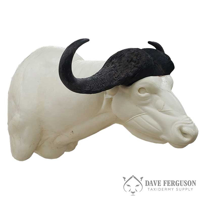 Forms - African / Exotic Species - African / Exotic Forms - Cape ...