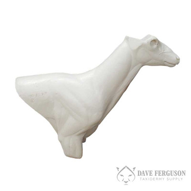 Coues Deer Straight Full Pedestal - Ferguson Taxidermy Supply