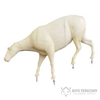 Mountain Goat Lifesize - Downhill - Ferguson Taxidermy Supply