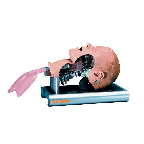 Ambu Airway Management Trainer | Airway Management Training