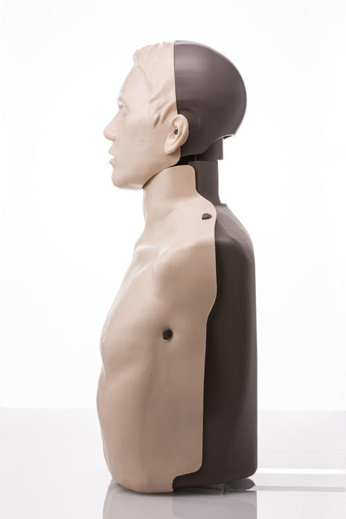 Brayden CPR Manikin Basic | Brayden Manikins