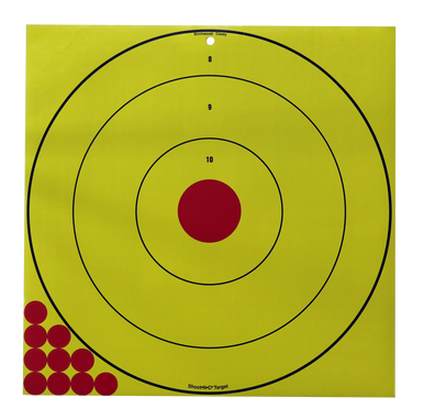 Long Range Bullseye Target - Birchwood Casey