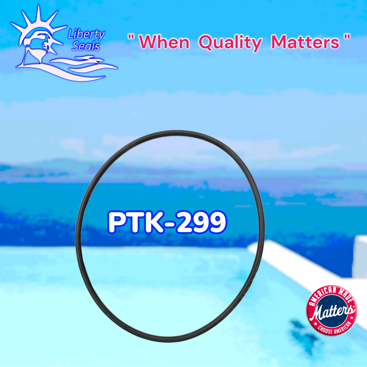 35-162 PREMIER Volute O-ring