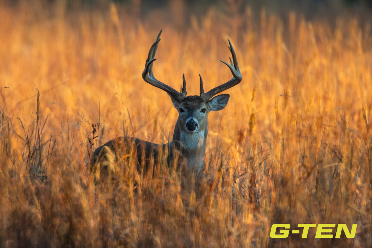 What to Pack for a UK Deer Stalking Weekend: Essential Gear, Tips ...
