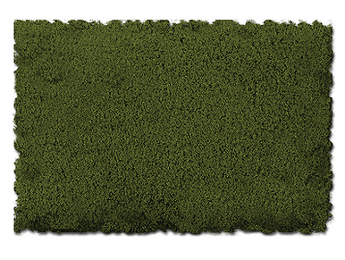 Scenic Express ~ Flock & Turf ~ Green Tones - 32oz ~ Burnt Green ~ Fine ...