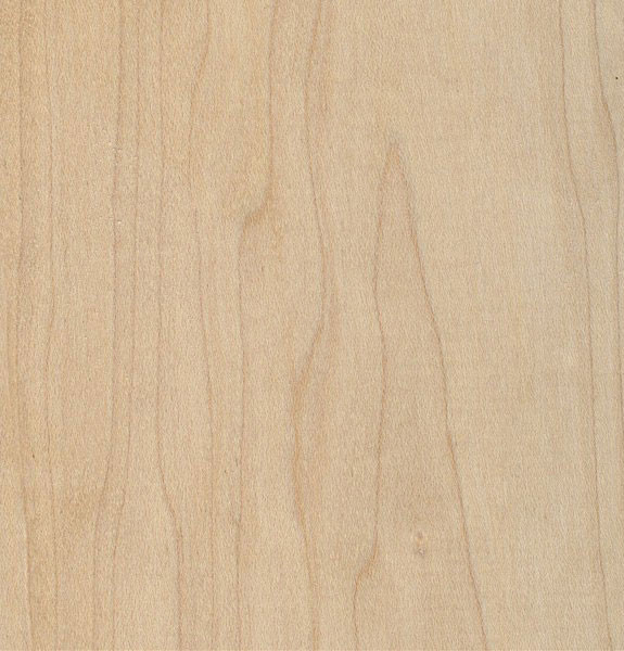 Maple - Hard White - Good's Millwork
