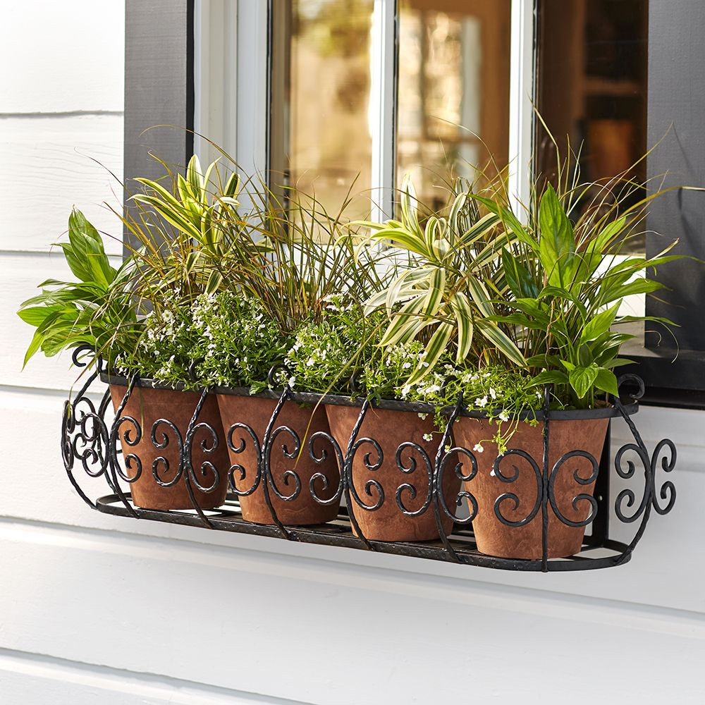 Parisian Wrought Iron Hanging Window Planters - Hooks & Lattice