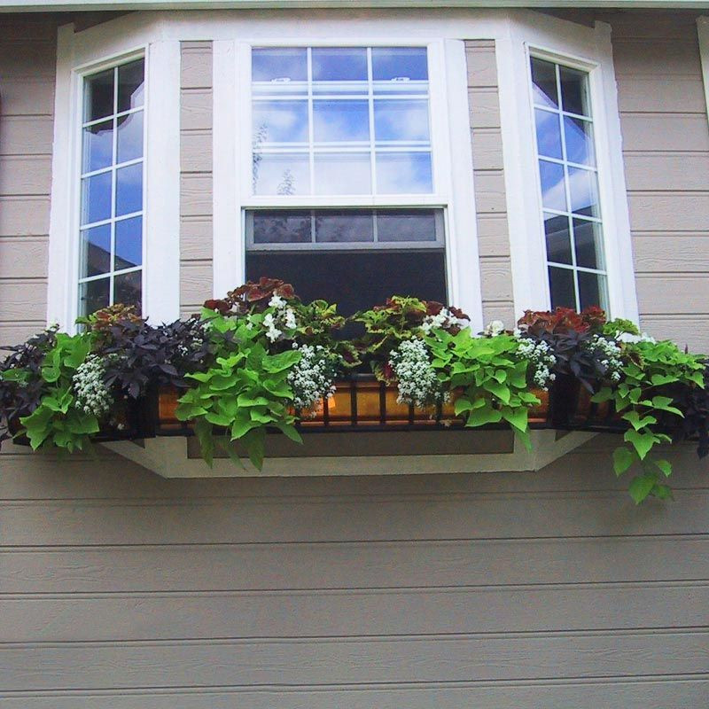 48" Pacific Heights Powder Coated Steel Window Box with Copper Liner