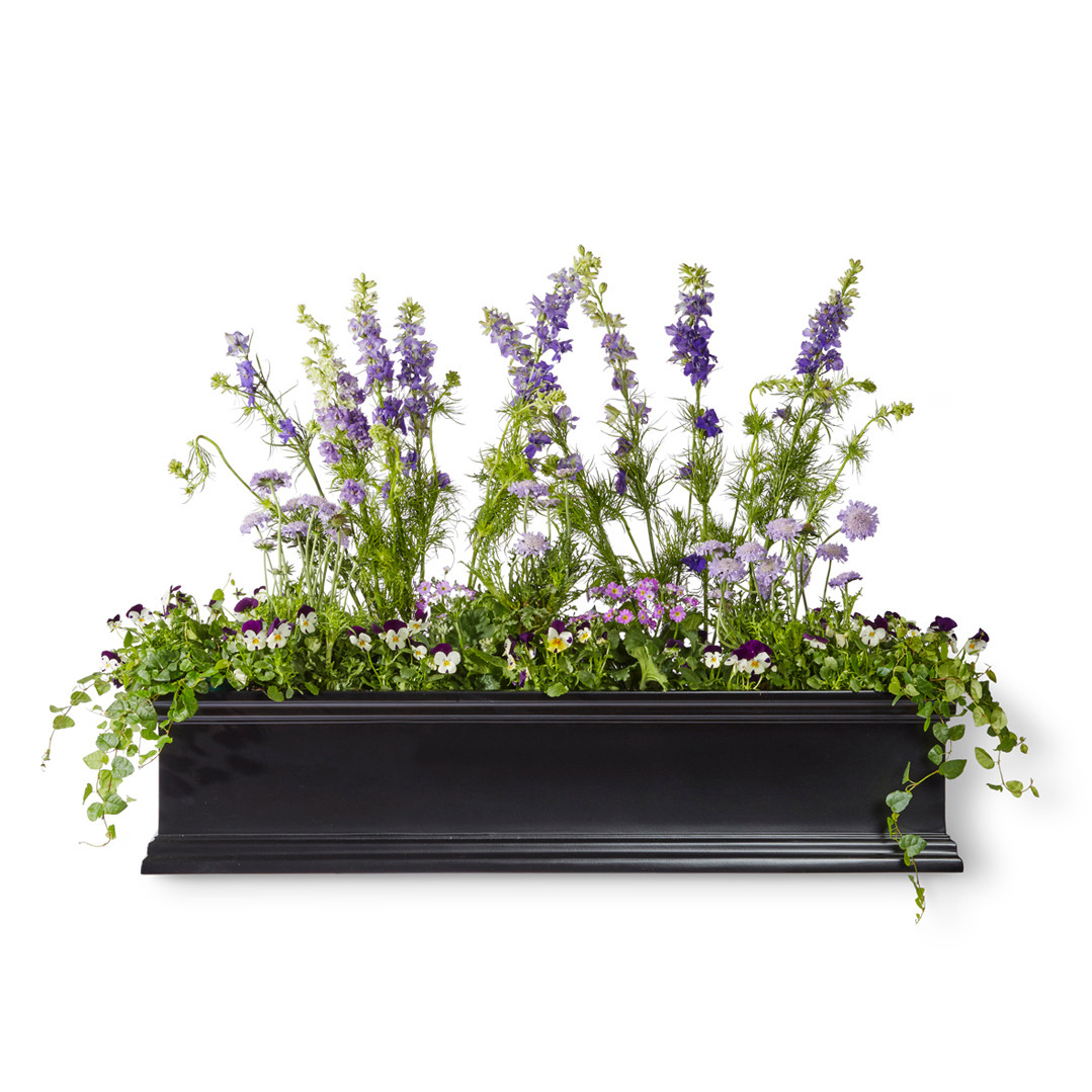 Black Window Boxes - The Laguna Collection: Upscale Look
