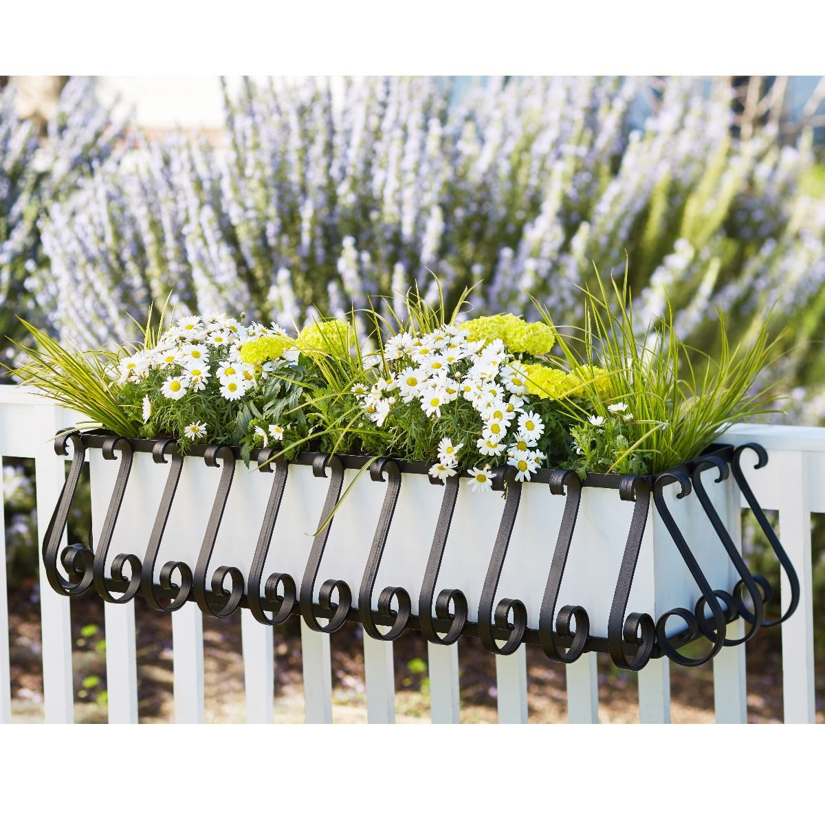 Window Boxes - By Material - Wrought Iron - Hooks & Lattice