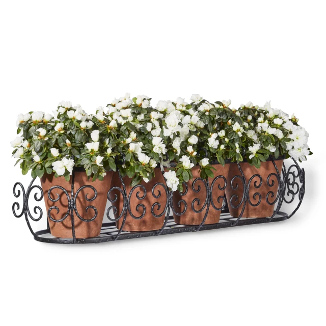 Medallion Powder Coated Steel Window Box- 7 Sizes and Choice of Liner