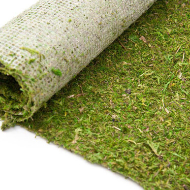 Preserved Moss Roll | Hooks & Lattice